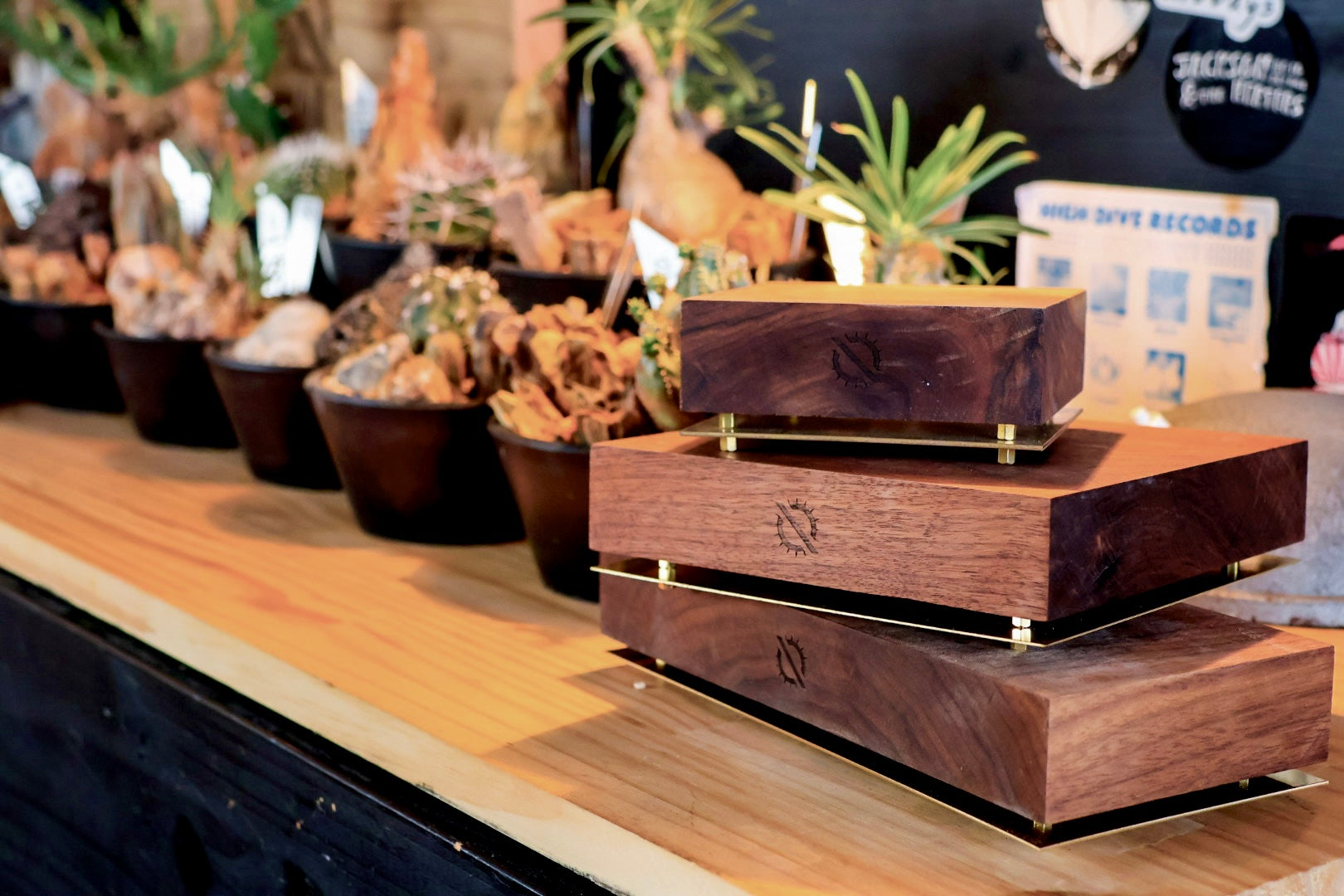 PLANTS BASE – artholic